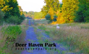 A Walk in the Park ⋆ Deer Haven Park